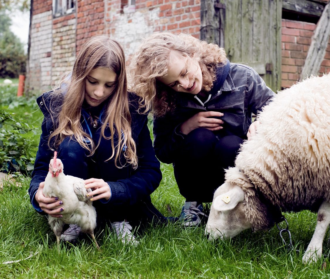 Issues | Animal Equality UK