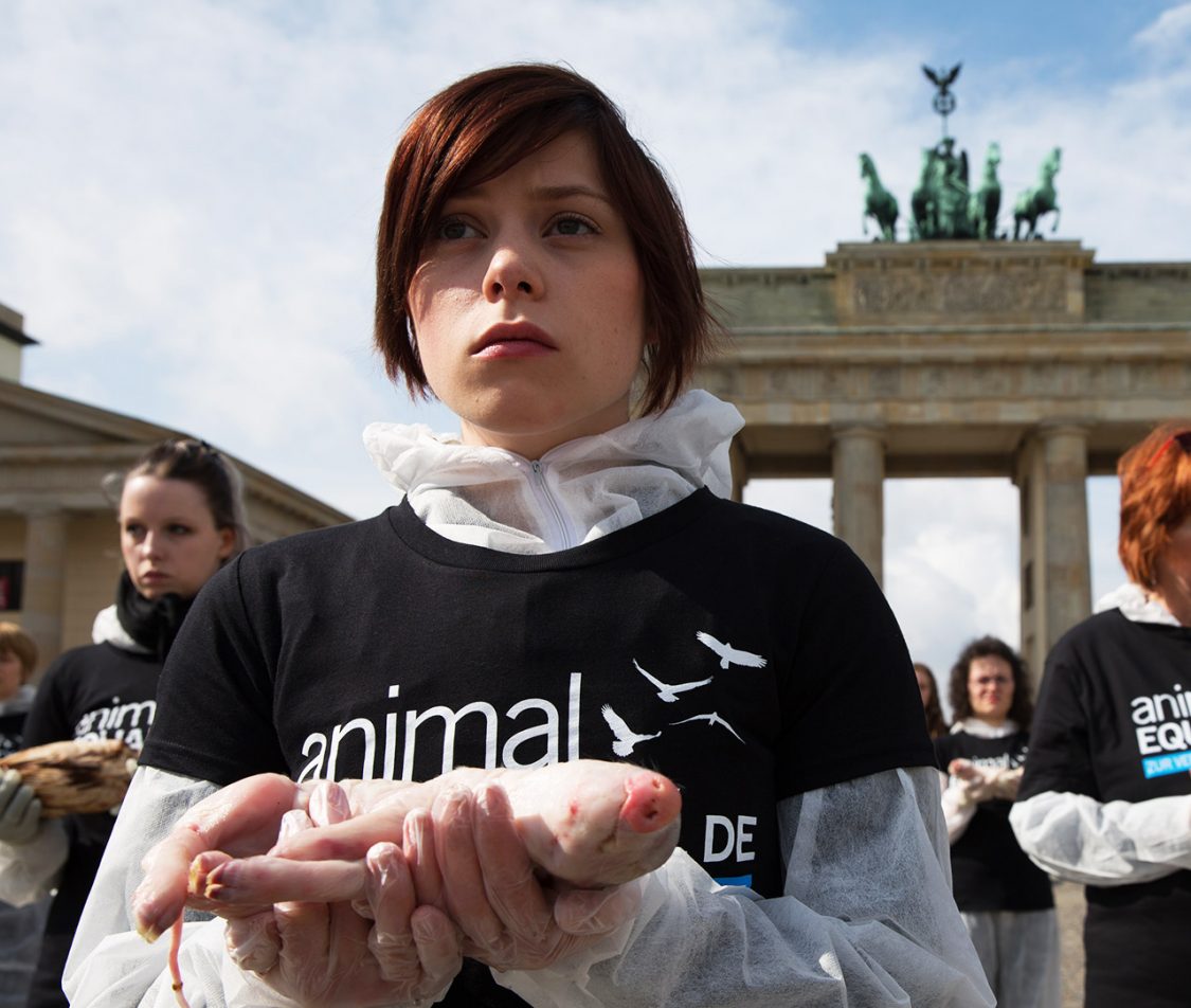 Who We Are | Animal Equality UK