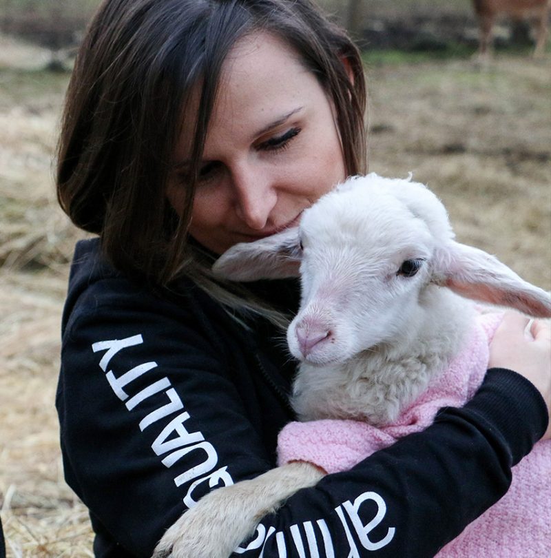 Who We Are | Animal Equality UK