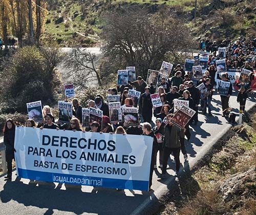 Our history | Animal Equality UK