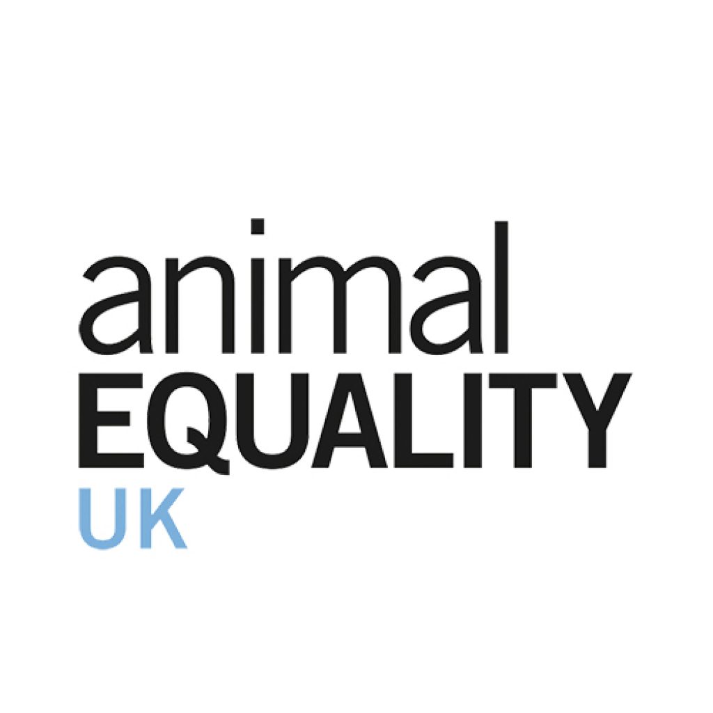 How You Can Help Animals | Animal Equality UK