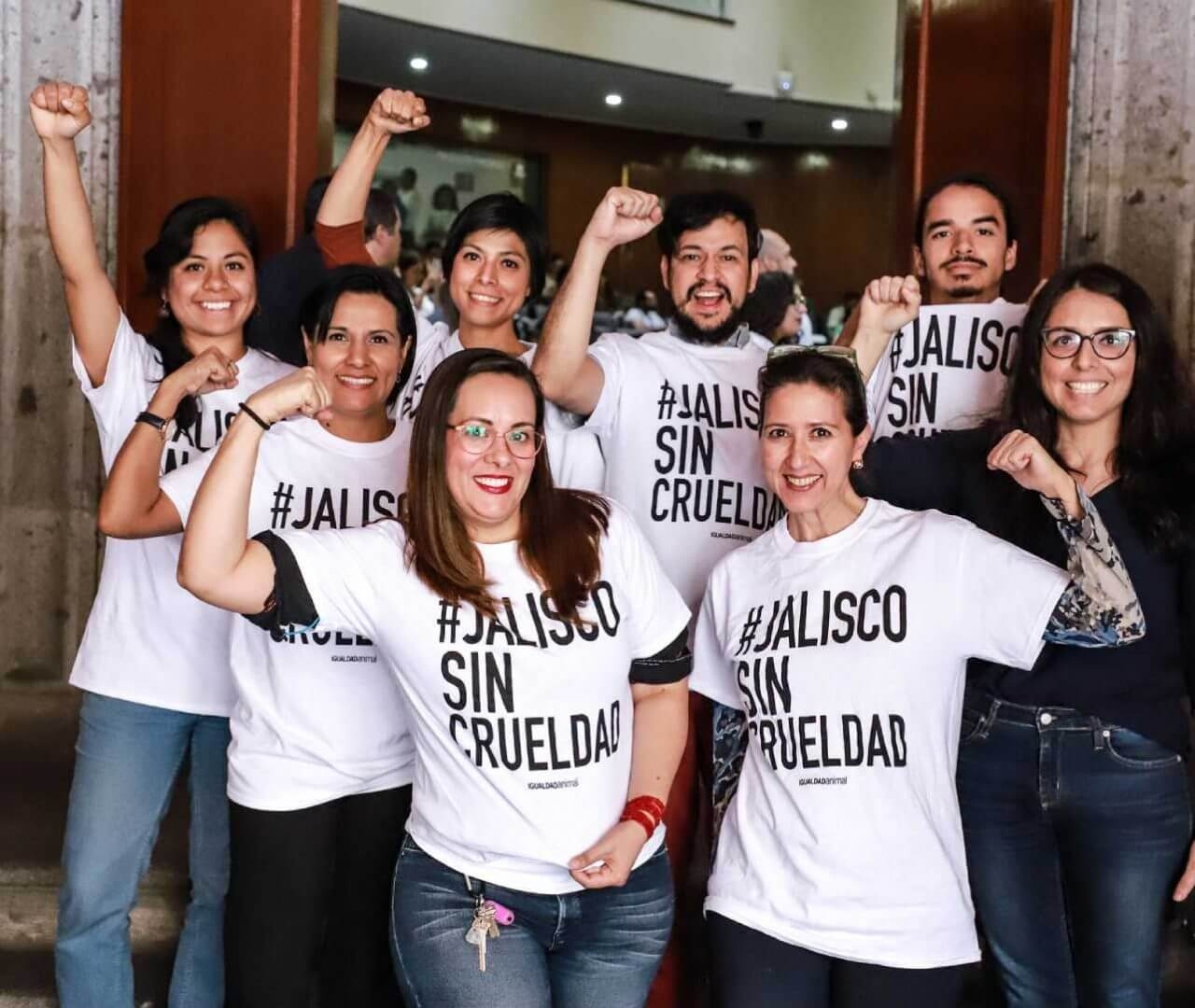 Animal Equality makes history in Mexico | Animal Equality UK