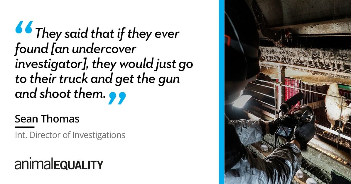 Being An Undercover Investigator