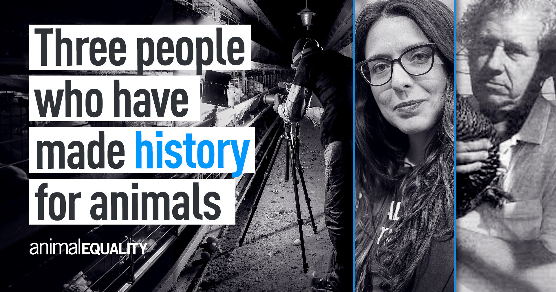 Three Incredible People Helping Animals