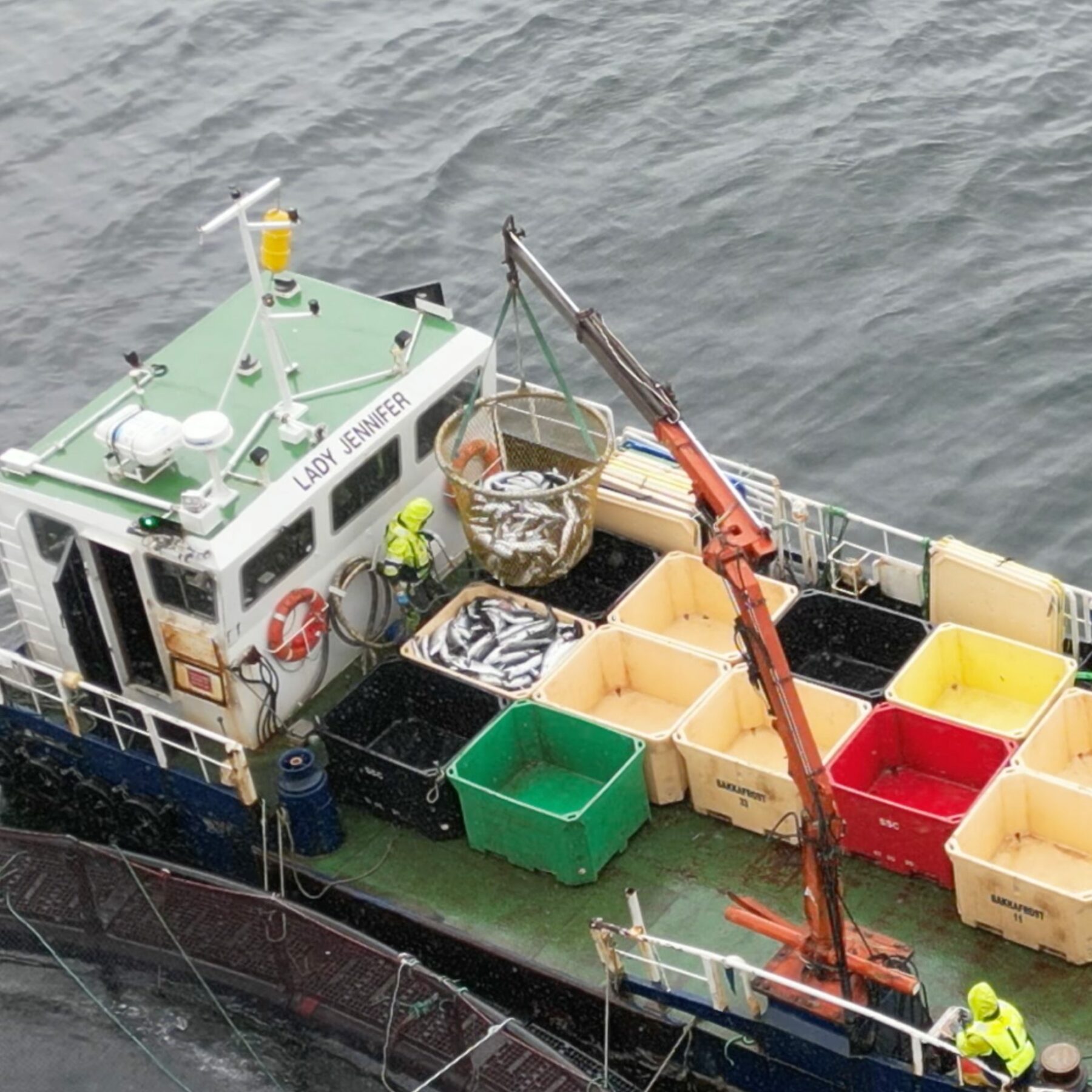 Animal Equality UK | Ending Cruelty to Animals